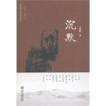 沉默 王延辉  宁夏人民出版社 9787227051589