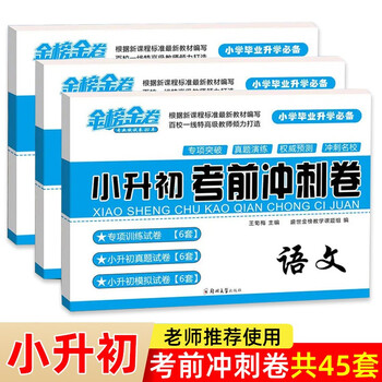 小升初试卷语文数学英语全套3册 小升初考前冲刺卷含专项真题模拟专项 六年级升初中初一测试卷