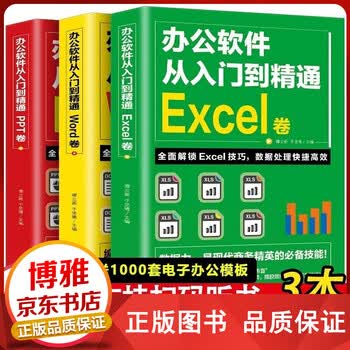 ExcelWordPPT套装全3册办公软件从入门到精通职场必备表格制作会计做账公式大全教程书2