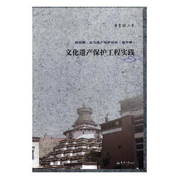 文化遗产保护工程实践单霁文化9787561857724 文化遗产保护中国文集