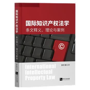 国际知识产权法学：条文释义、理论与案例