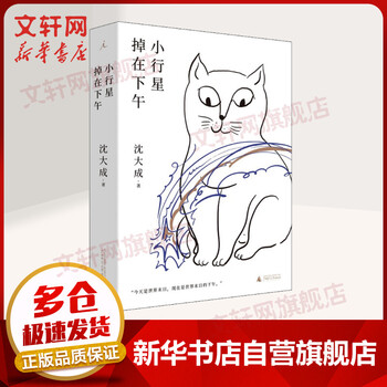 小行星掉在下午