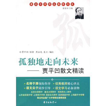 孤独地走向未来
