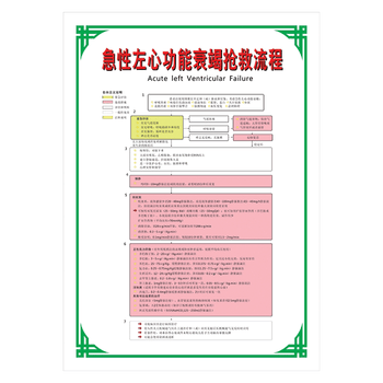 医院制度急救程序挂图过敏性休克抢救流程图示意图墙贴纸WSB169 WSB169-30 40*60cm  PP覆膜贴纸