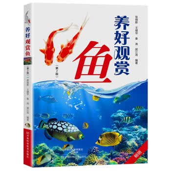 养好观赏鱼