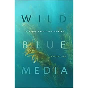Wild Blue Media