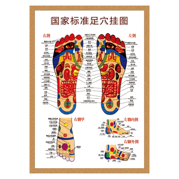 中医养生按摩国家标准足穴挂图脚底足部反射区宣穴位图传画WSA WSA48 国家标准足穴挂图 80x120cm  PP覆膜贴纸