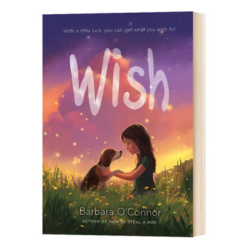 愿望 英文原版 Wish 英文原版 进口英语书籍