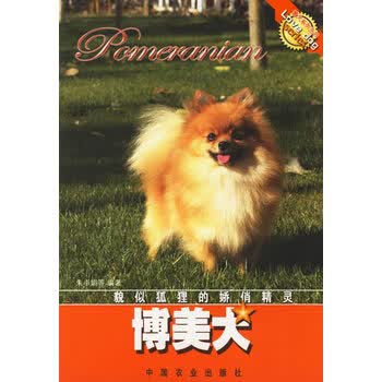 博美犬 朱小娟 朱小娟