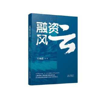 融资风云 王国进 著 9787201161150 天津人民