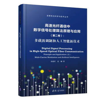 高速光纤通信中数字信号处理算法原理与应用（第二卷）：多载波调制和人工智能新技术