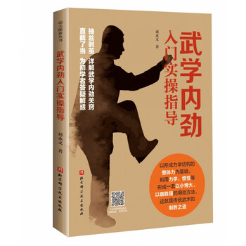 武学内劲入门实操指导 刘永文