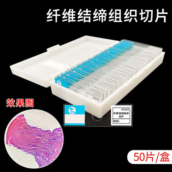 生物切片永久装片人血涂片人体四大组织字母e上字初高中神经装片 纤维结缔组织切片50片