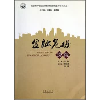 金融危机透视 王敏 著【正版书】