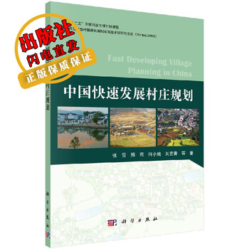 中国快速发展村规划