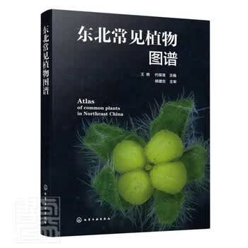 东北常见植物图谱王艳化学工业出版社9787122380081/科普读物书籍