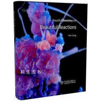 BeautifulReactions 梁琰著 清华大学出版社