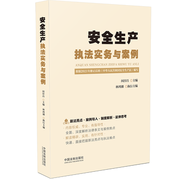 安全生产执法实务与案例 2021新书 全面 深度解析法律条文 实务案例 指引执法实践