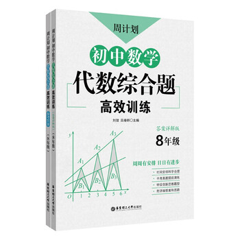 周计划：初中数学代数综合题高效训练（8年级）