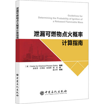 泄漏可燃物点火概率计算指南 图书