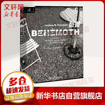 索恩丛书-巨兽：工厂与现代世界的形成