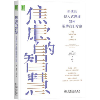焦虑的智慧9787111684176机械工业周雪
