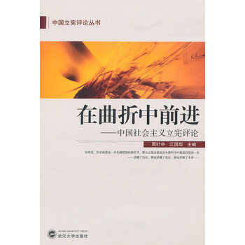 在曲折中前进