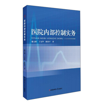 医院内部控制实务【正版图书】