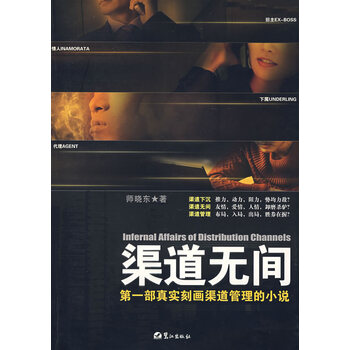 渠道无间 师晓东　著