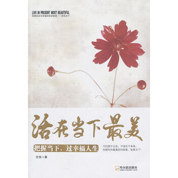 活在当下美【正版图书】