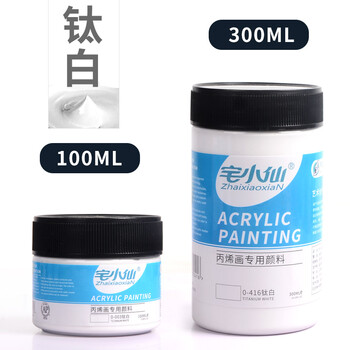 丙烯颜料防水手绘画材料diy墙绘彩绘工具24色画鞋子12色300ml白色炳稀染料不掉色儿童涂鸦丙 钛白 100ml