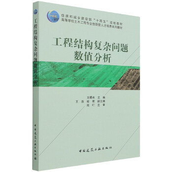 工程结构复杂问题数值分析 王曙光