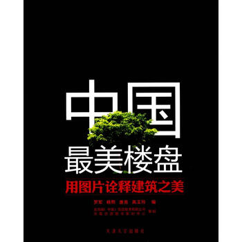 中国美楼盘 罗军　等编