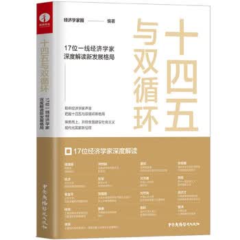 十四五与双循环(17位一线经济学家深度解读新发展格局)