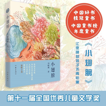 2018中国好书：小翅膀