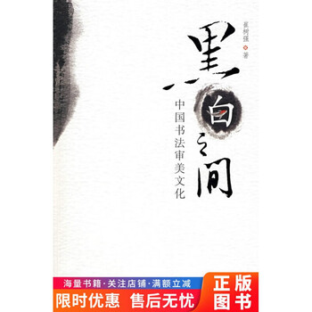 黑白之间 中国书法审美文化 崔树强著