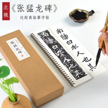 北魏《张猛龙碑》楷书魏碑字帖毛笔书法基础初学者入门教原碑字卡书法教程近距离临摹字帖 《张猛龙碑》