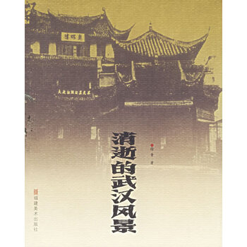 消逝的武汉风景【保证正版】