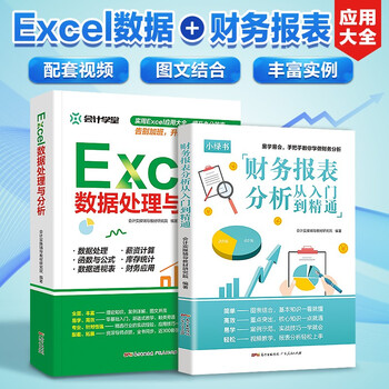 财务报表分析从入门到精通Excel数据处理与分析财务管理财务分析表格教程数据分析 2册【Excel+财务报表】