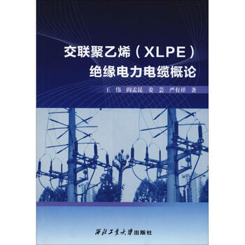交联聚乙烯(XLPE)绝缘电力电缆概论 王伟 等 著 水利水电 WX