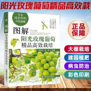 图解阳光玫瑰葡萄精品高效栽培 新理念新技术书 青提晴王阳光玫瑰葡萄树园管理施肥浇水售卖 杨治元专业园艺师的不败指南 C