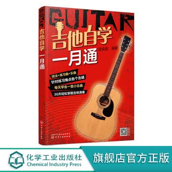 吉他自学一月通