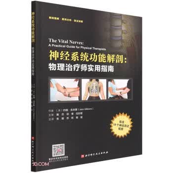 神经系统功能解剖--物理治疗师实用指南
