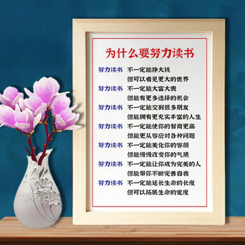 努力的意义 书房挂画中高考加油礼物励志字画摆件书法座右铭实木相框挂墙画框UTK UTK05 为什么要努力读书 A5(可摆可挂)