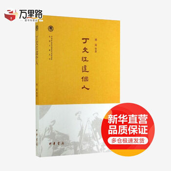 丁文江这个人