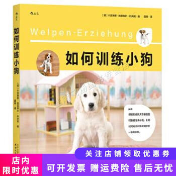 如何训练小狗
