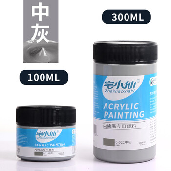丙烯颜料防水手绘画材料diy墙绘彩绘工具24色画鞋子12色300ml白色炳稀染料不掉色儿童涂鸦丙 中灰 100ml