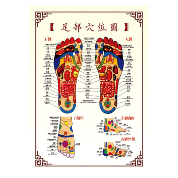 中医养生按摩国家标准足穴挂图脚底足部反射区宣穴位图传画WSA WSA17 足部穴位图 70x100cm  PP覆膜贴纸