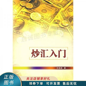 炒汇入门 王祖建