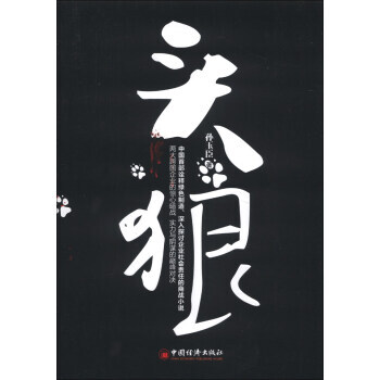 头狼 孙玉臣 中国经济出版社